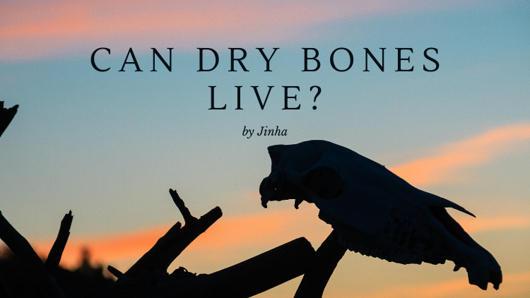 Can Dry Bones Live?