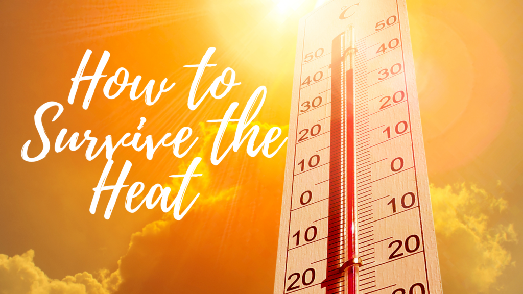 How to Survive the Heat (metaphorically)